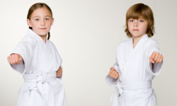 Adaptive Karate: Burlington - SPED Child and Teen